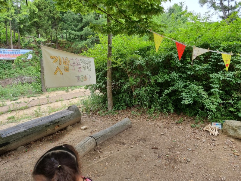 인천 육아종합지원센터 숲체험 깃발 탐험대 후기 : 네이버 블로그
