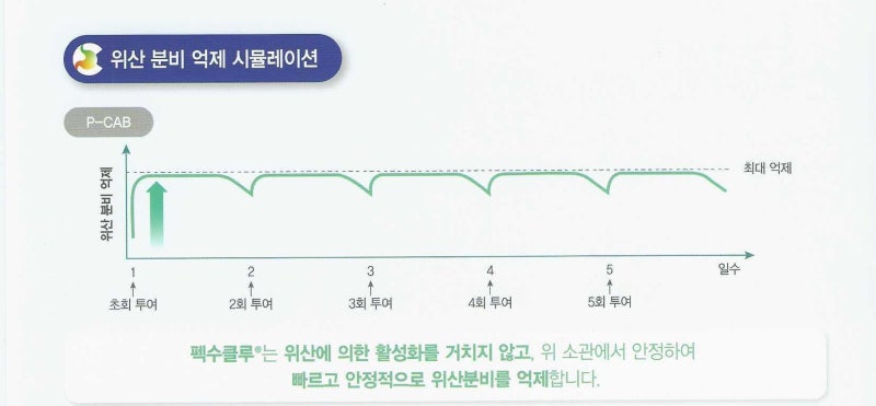 펙수클루정 40mg, Fexuclue Tab. (펙수프라잔, Fexuprazan) : 네이버 블로그
