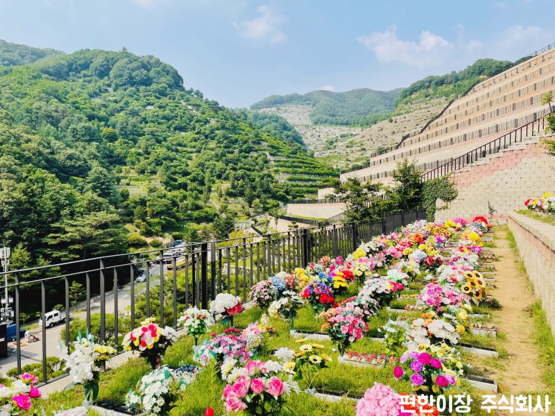 개장신고서구 개장신고필증 발급 신청절차 알아보기 네이버 블로그