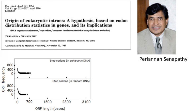 split gene theory 이해하기 1 : 네이버 블로그