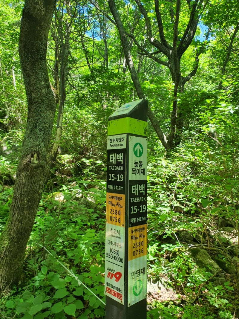 강원도 함백산 등산코스 And 소요시간 스위스를 닮은 역대급뷰 블랙야크 100대 명산 네이버 블로그