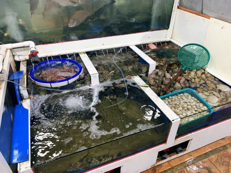 부안 맛집 여행객들에게 더욱 추천하는 양이 많은 격포 맛집 격포어촌계회센터b동 16호 윤희네집 네이버 블로그