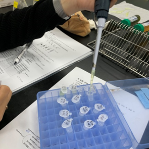 실험일기 #3 항산화 활성 측정(DPPH assay) : 네이버 블로그