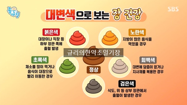 변색깔 초록색변 검정색변 원인 성인 녹색변 검은색변 대변색깔로 보는 장건강 네이버 블로그