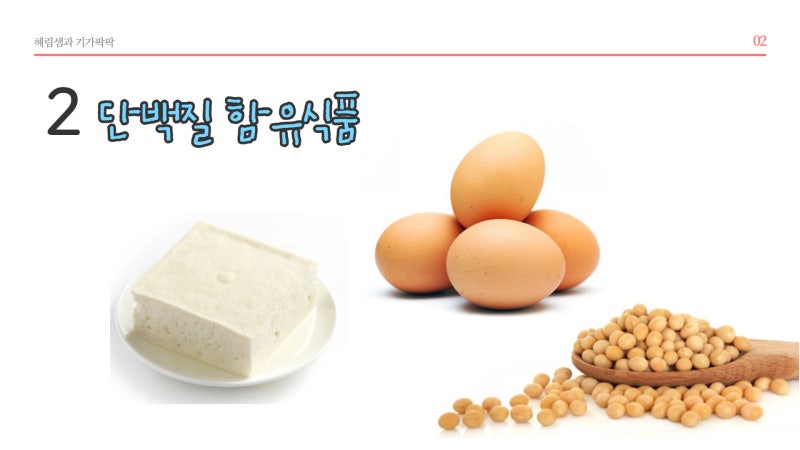 기술가정 수업기록 청소년의 영양과 건강 3대 영양소 탄수화물 단백질 지방 네이버 블로그