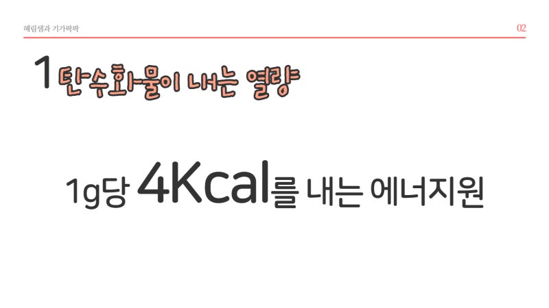 기술가정 수업기록 청소년의 영양과 건강 3대 영양소 탄수화물 단백질 지방 네이버 블로그