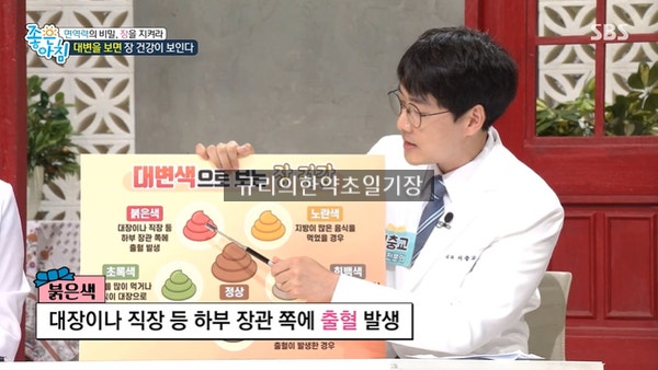 변색깔 초록색변 검정색변 원인 성인 녹색변 검은색변 대변색깔로 보는 장건강 네이버 블로그