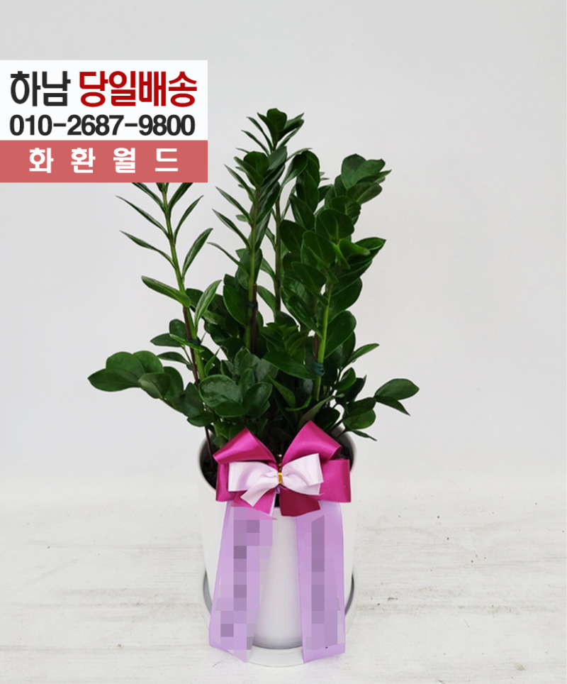 화환월드하남 인사이동 승진 취임 영전 축하의선물 최고의 가성비 에서 어서 준비하세요~만족하실만한 동양란 서양란 관엽화분