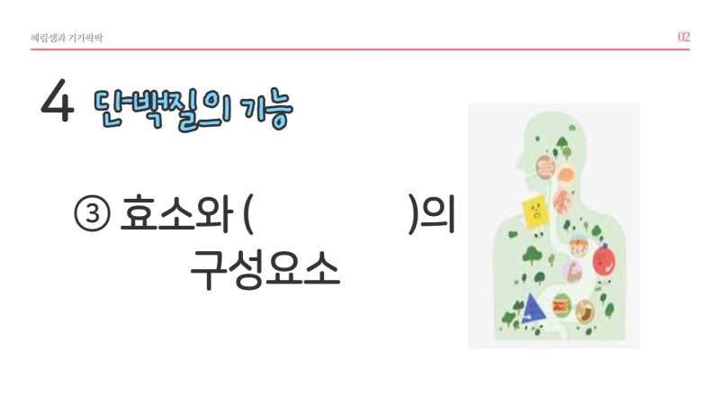기술가정 수업기록 청소년의 영양과 건강 3대 영양소 탄수화물 단백질 지방 네이버 블로그