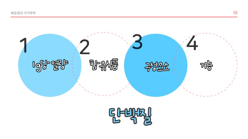 기술가정 수업기록 청소년의 영양과 건강 3대 영양소 탄수화물 단백질 지방 네이버 블로그