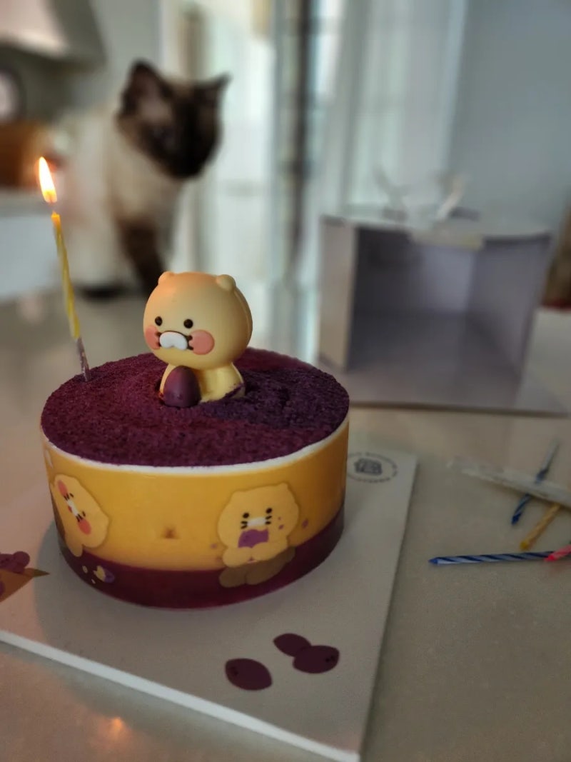 파리바게트 춘식이 케이크 신상 고구마 맛있네 외동딸 생일 선물 네이버 블로그