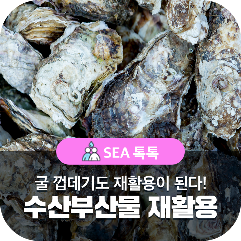 굴 껍데기도 재활용이 된다! : 수산부산물 재활용 : 네이버 블로그