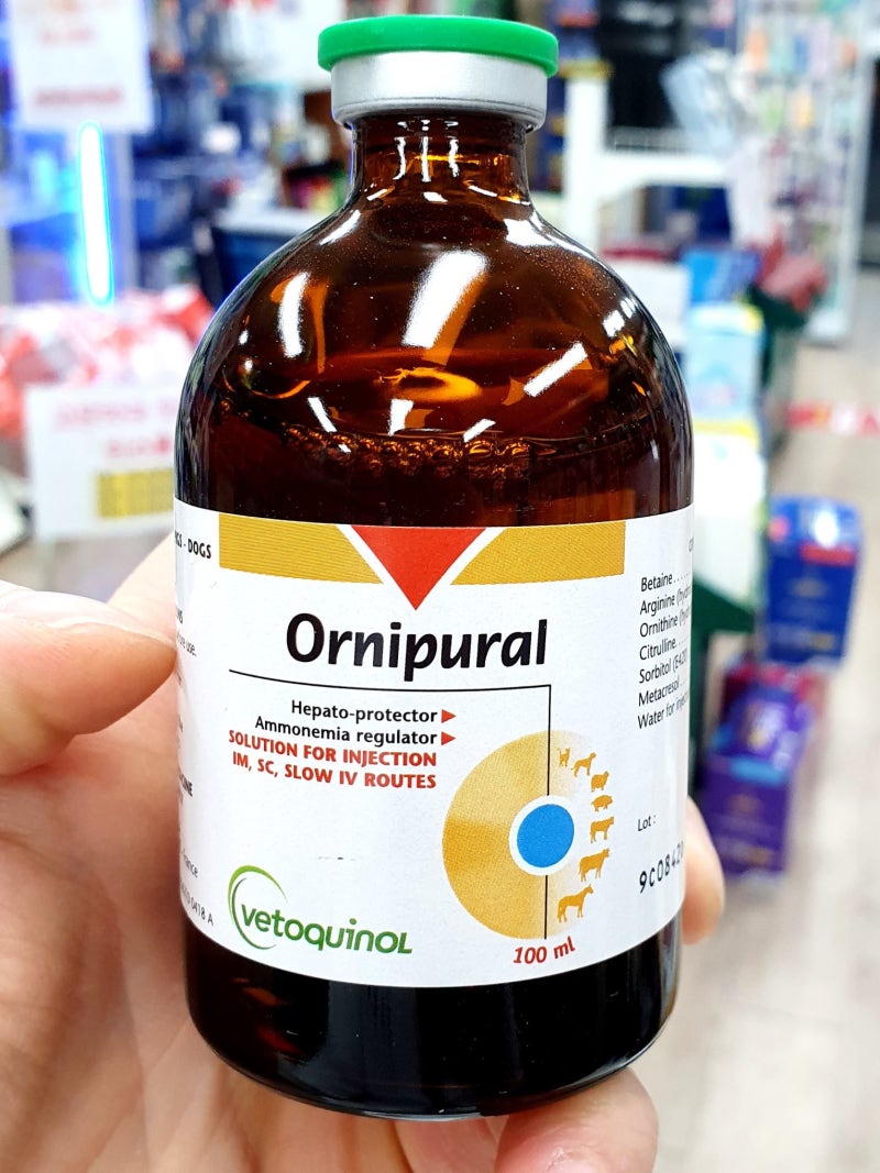 오니푸랄 주,Ornipural, 개 고양이, 간기능향상 : 네이버 블로그