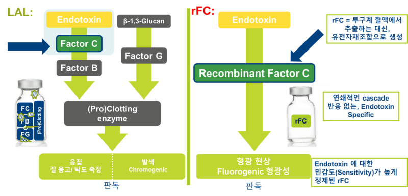 rFC(recombinant Factor C) Assay의 원리 : 네이버 블로그