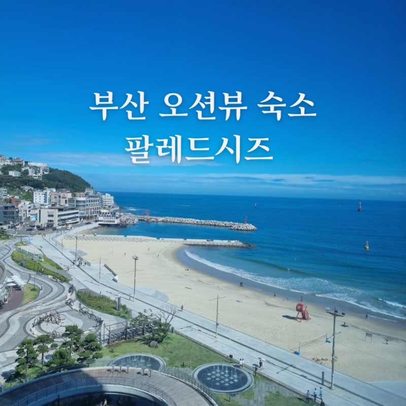 부산 해운대 오션뷰 숙소 팔레드시즈 가족 여행 후기 네이버 블로그