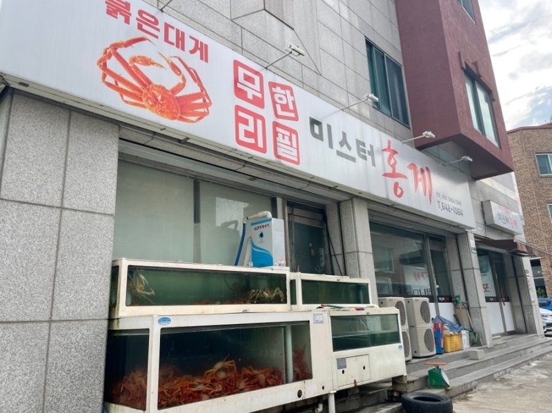 강릉 홍게 맛집 홍게 무한리필 미스터홍게 네이버 블로그