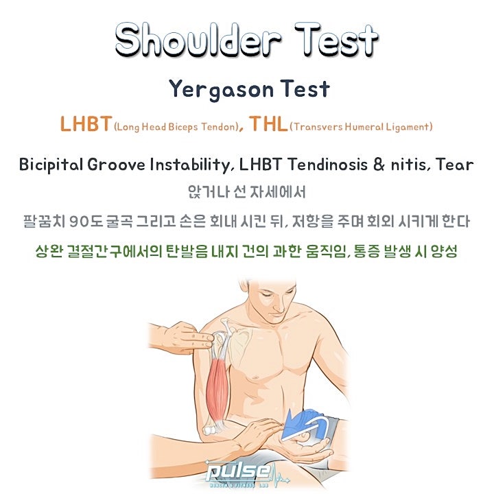 어깨 근골격계 손상검사, 스페셜 테스트 - Part 2. - 건운사(건강운동관리사) 실기 : 네이버 블로그