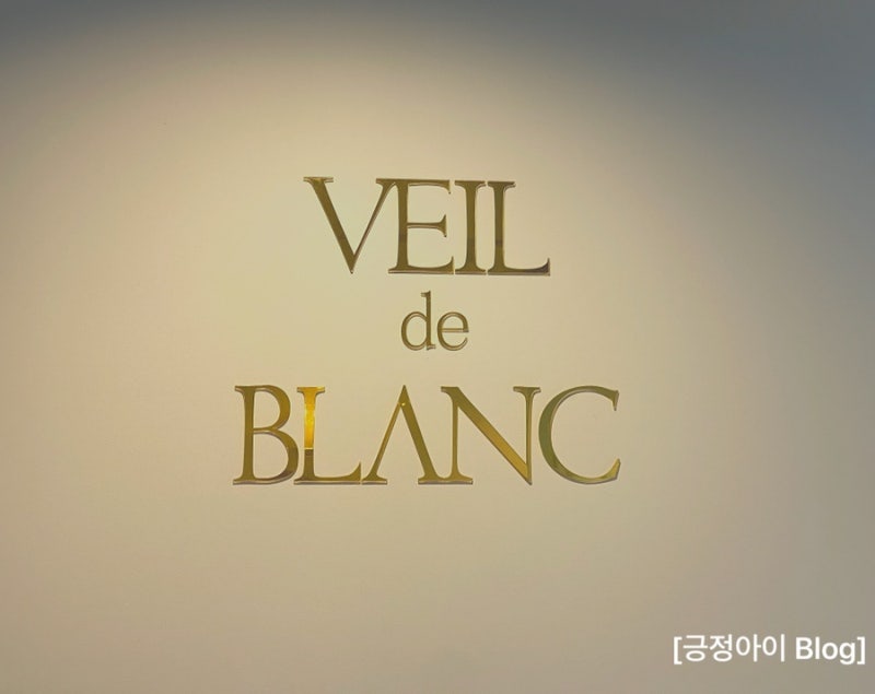 서울 강서 토탈샵 내돈내산 스드메 후기 리허설부터 본식까지 다 끝나구 예신 졸업 네이버 블로그