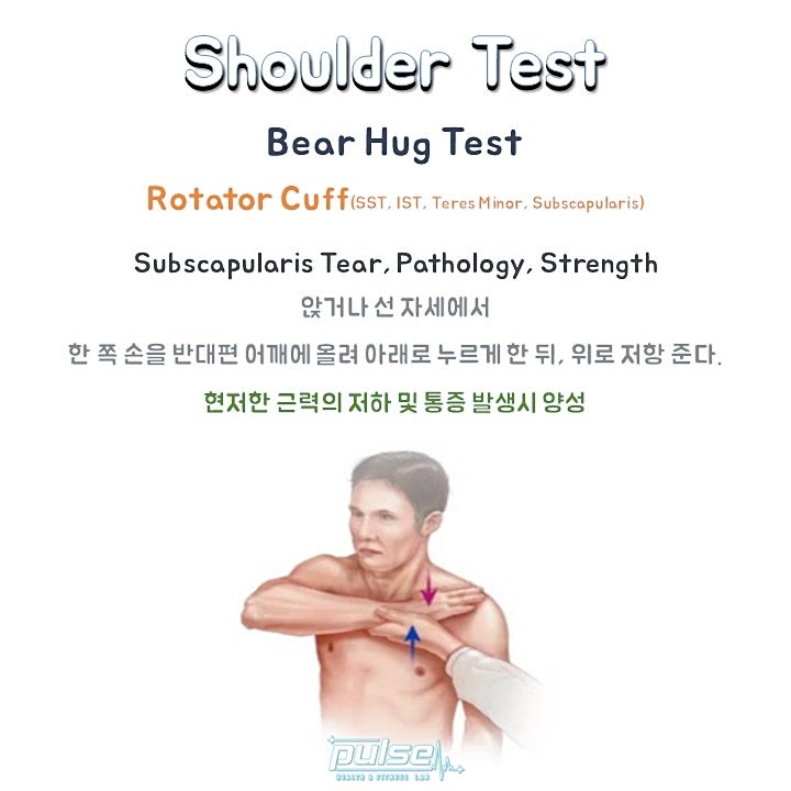 어깨 근골격계 손상검사, 스페셜 테스트 - Part1. - 건운사(건강운동관리사) 실기 : 네이버 블로그