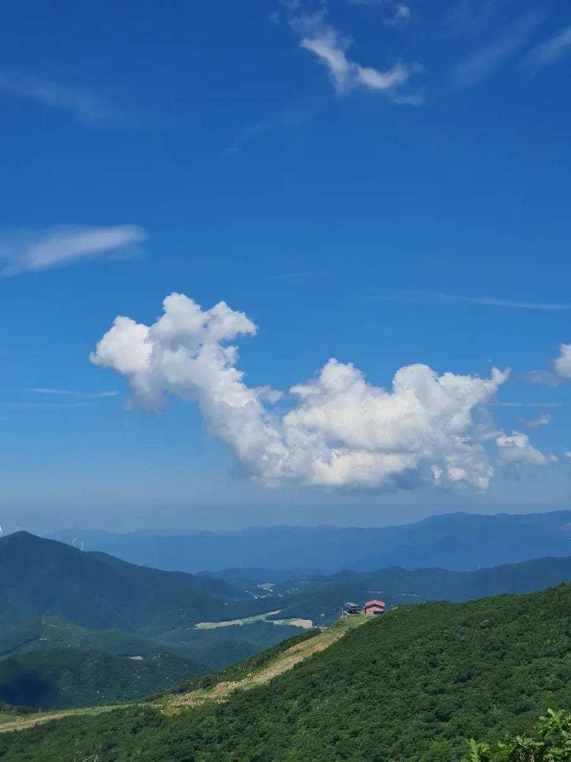 강원도 함백산 등산코스 And 소요시간 스위스를 닮은 역대급뷰 블랙야크 100대 명산 네이버 블로그