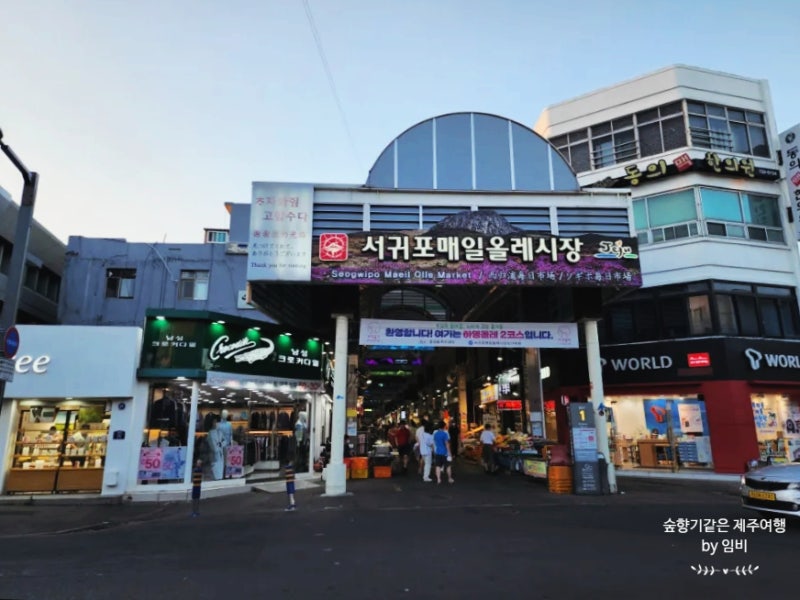 제주 야시장 제주도 올레시장먹거리 서귀포 야시장 리얼후기 네이버 블로그