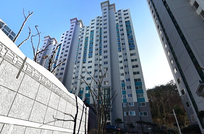 부산아파트경매 북구 구포동 구포유림노르웨이숲 매매 시세의 분석 정보 네이버 블로그