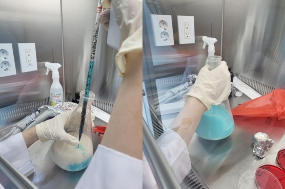 살모넬라 식품공전 실험 법 (정성실험) : 네이버 블로그