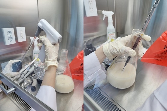 살모넬라 식품공전 실험 법 (정성실험) : 네이버 블로그