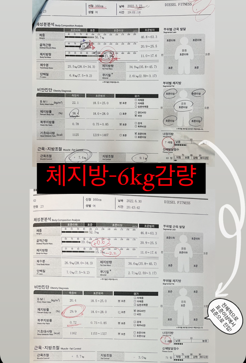 눈바디의 중요성 디젤피트니스 옥포헬스장 화원헬스장 대구pt 달서구pt 대구헬스장 비포애프터 바디체크 운동