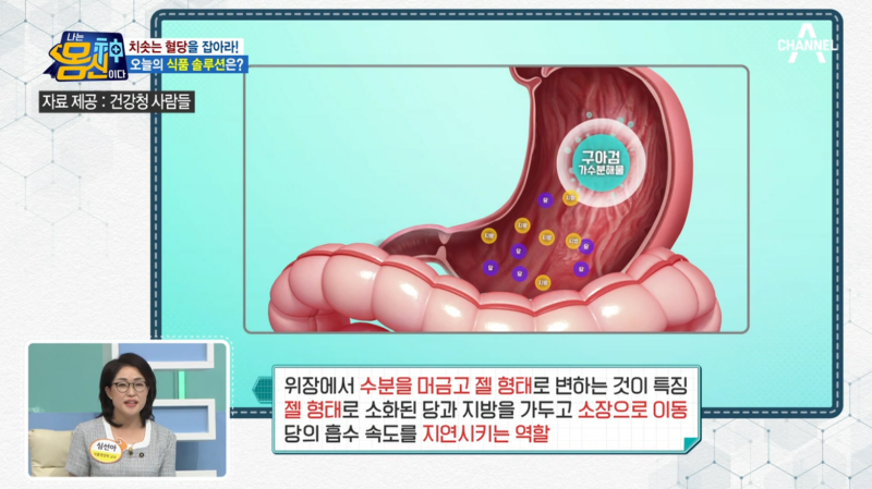 당뇨에 좋은 음식 구아검가수분해물 【구아검 구아콩 혈당낮추는음식 구아콩효능】 네이버 블로그