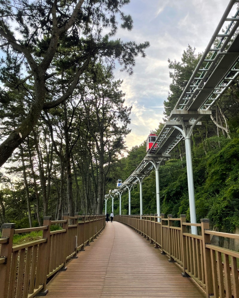 부산 여행 해운대 스카이 캡슐 🚃 예약 시간 가격 주차 해운대 블루라인파크 네이버 블로그