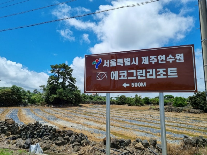 제주 서울시 공무원 연수원 제주 에코그린리조트 에코스위트 네이버 블로그