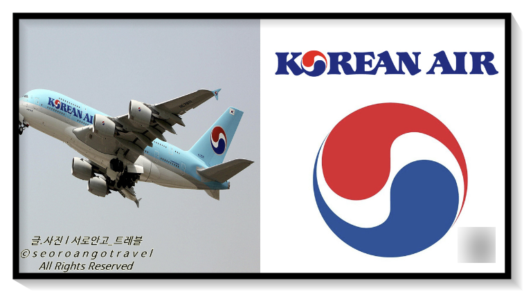 대한항공 마일리지 카드 삼성카드 Vs 현대카드 두 카드사 정밀 분석 비교 네이버 블로그
