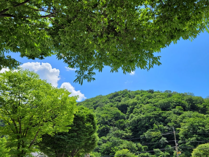 가평 명지계곡 당일치기 평상임대 애견동반가능 네이버 블로그