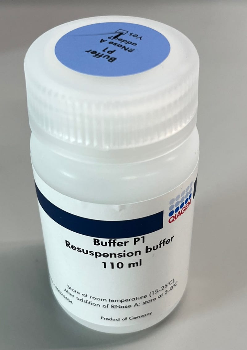 [분자생물학 실험실]DNA prep : 네이버 블로그