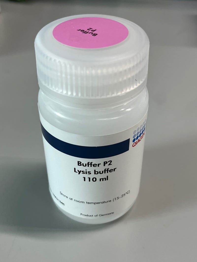 [분자생물학 실험실]DNA prep : 네이버 블로그