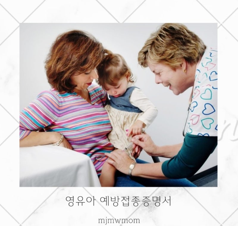 신생아 생후2개월 예방접종 도우미사이트 확인 및 영유아 예방접종증명서 발급 네이버 블로그
