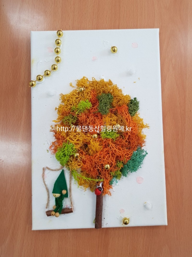 초등학교 교육복지사업 영주 풍기 안동 예천 원예수업 스칸디아모스 내 나무꾸미기 네이버 블로그