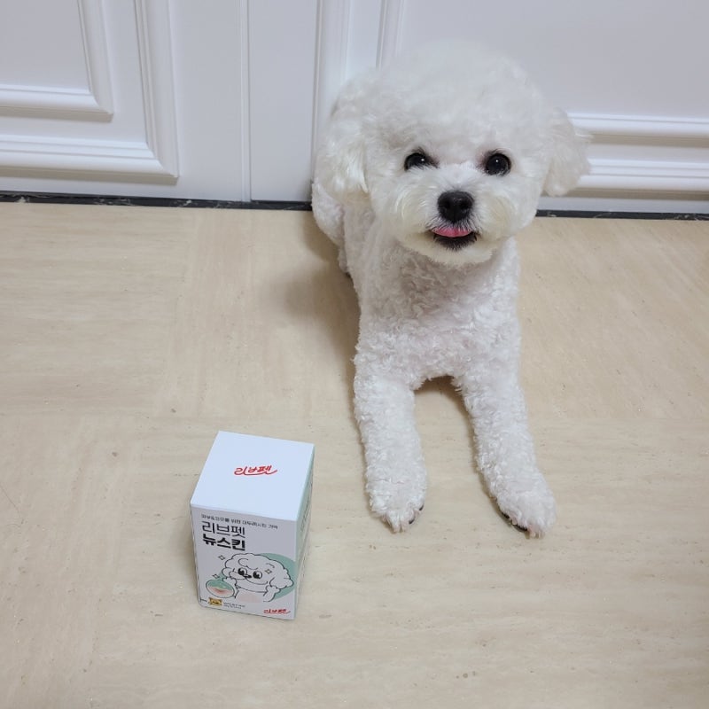 강아지 곰팡이성 피부염 링웜 농피증 증상이 고민이라면 리브펫 뉴스킨 애견 피부 영양제 네이버 블로그