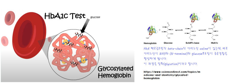 당화혈색소는 이걸로 끝내자. : 네이버 블로그