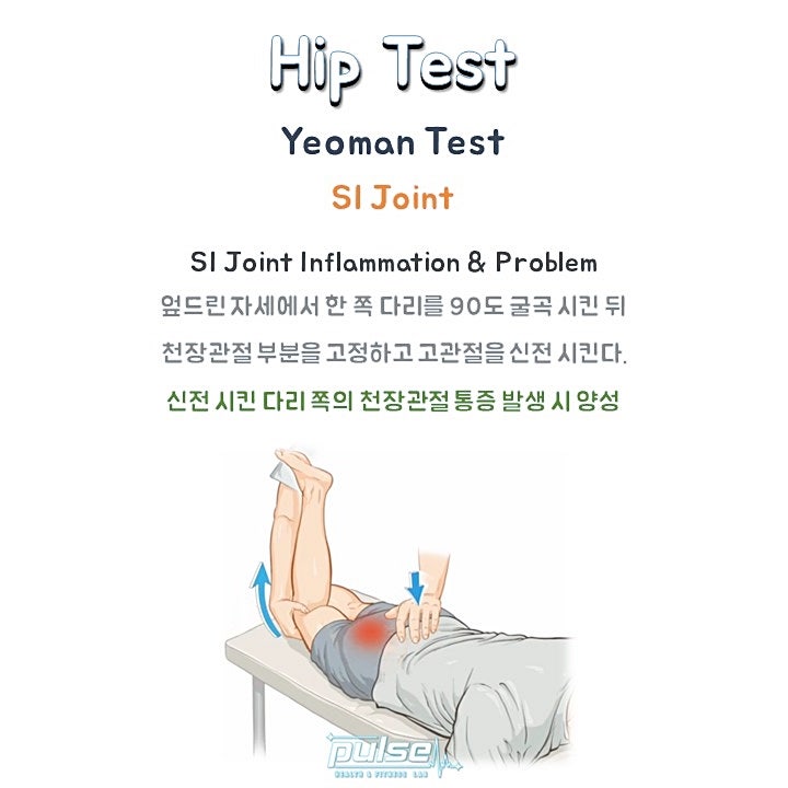둔부(고관절, 천장관절) 근골격계 손상검사, 스페셜 테스트 - 건운사(건강운동관리사) 실기 : 네이버 블로그