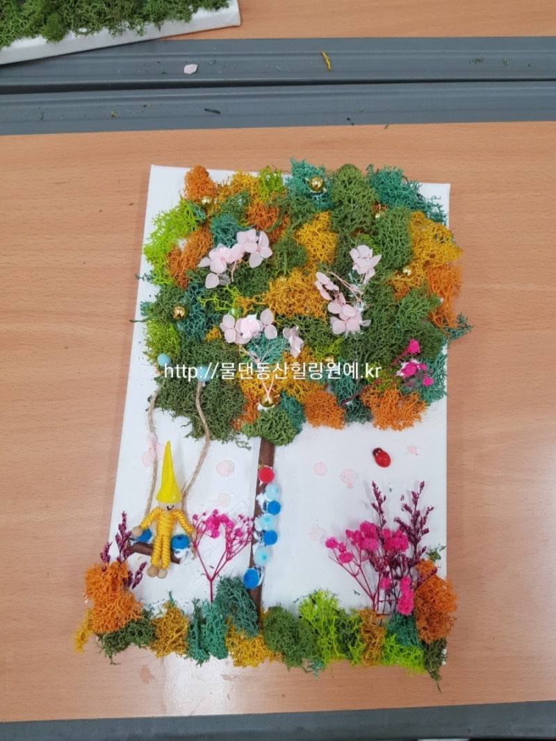 초등학교 교육복지사업 영주 풍기 안동 예천 원예수업 스칸디아모스 내 나무꾸미기 네이버 블로그