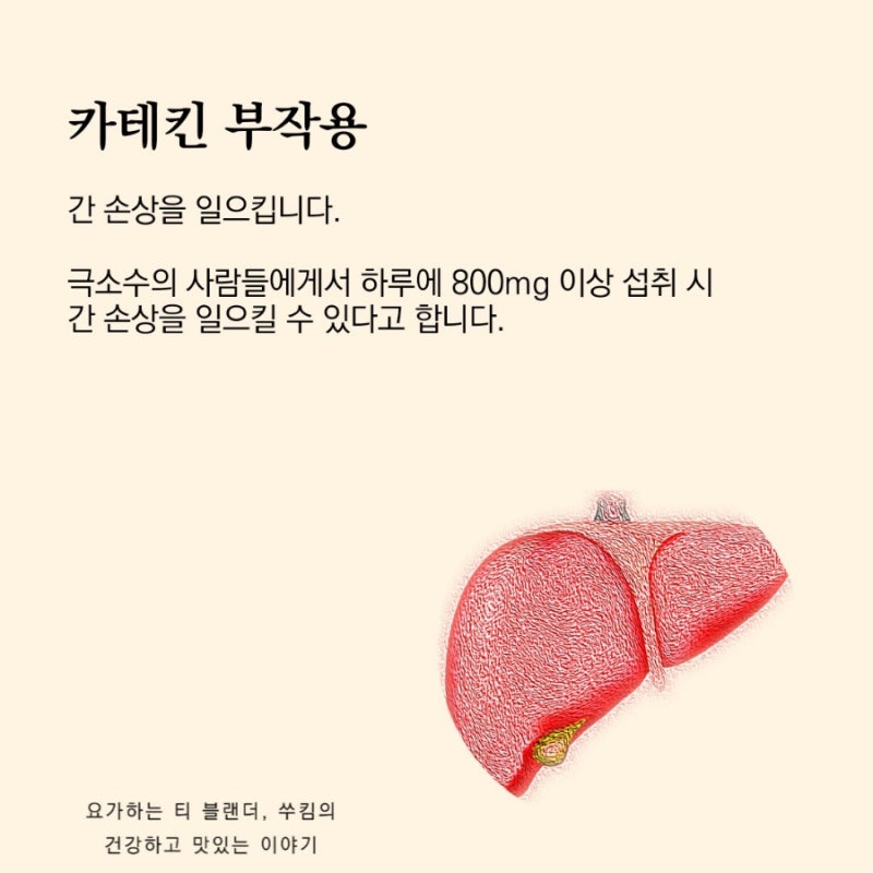 카테킨 부작용 간손상 정말 식품 추천 하루 섭취량 어느 정도가 좋을까 네이버 블로그