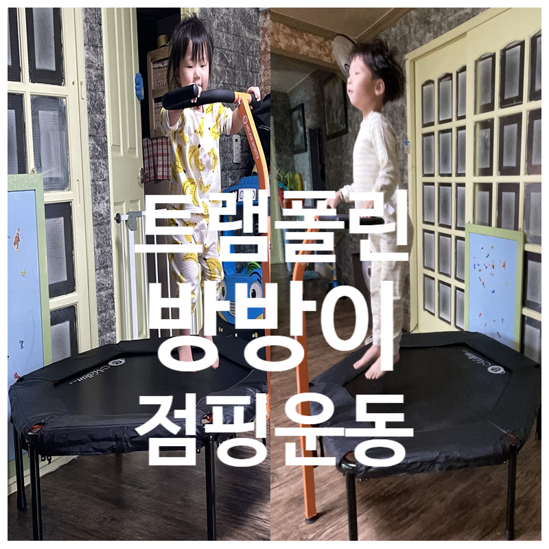 트램폴린 방방이 아이 어른 모두 점핑운동 즐겨요 네이버 블로그