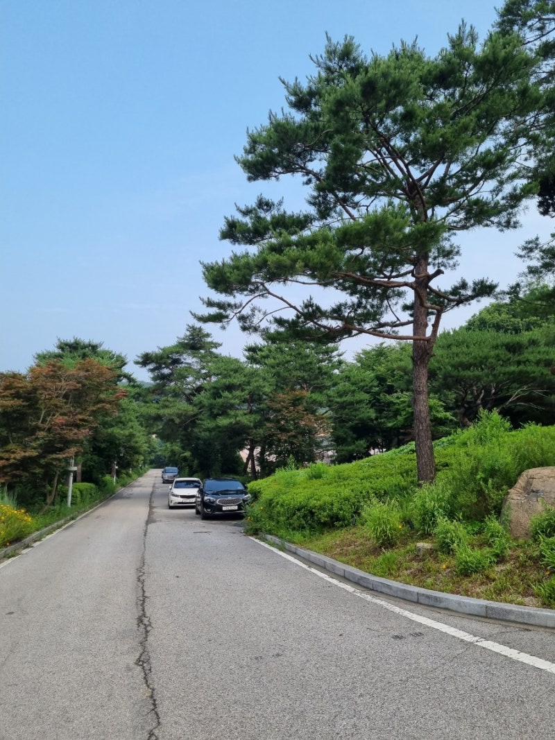 포천 글램핑장 푸른산페어웨이 후기 여름글램핑 계곡 추천추천 네이버 블로그