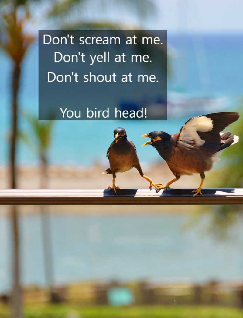 [진짜미국영어] scream, shout, yell 차이점 알아보기 : 네이버 블로그