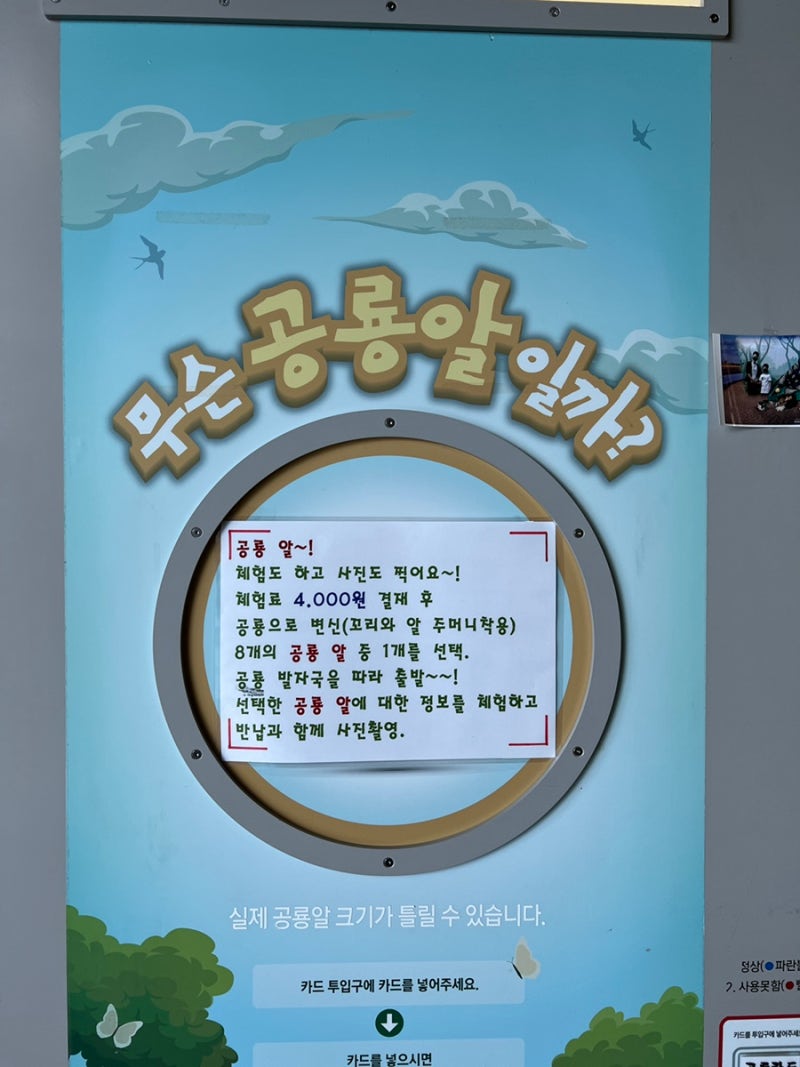 전남 보성 아이랑 갈만한 곳 비봉공룡공원 공룡 좋아하는 아이에게 추천 네이버 블로그