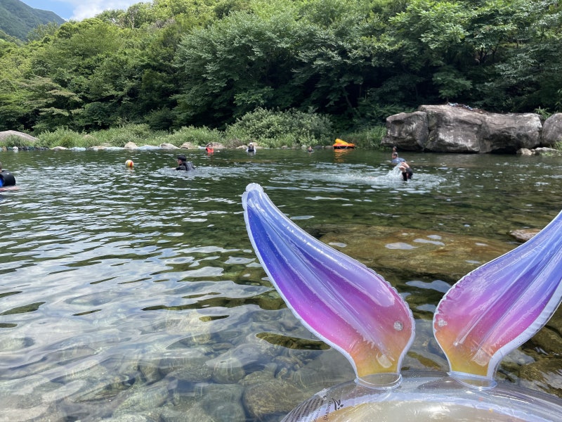 광주근교 계곡 추천 구례 지리산 깊은계곡 피아골 빛나쉼터 👍🏻 : 네이버 블로그