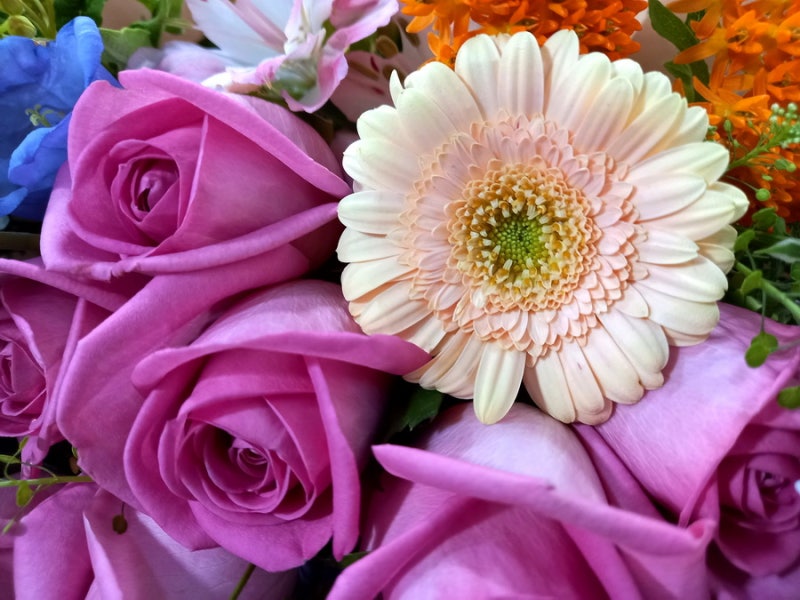 멋지고 사랑스러운 아내의 생일에 준비하신 축하 꽃다발 일산 꽃집 주엽 꽃집 킨텍스 꽃집 주엽 플라워 네이버 블로그
