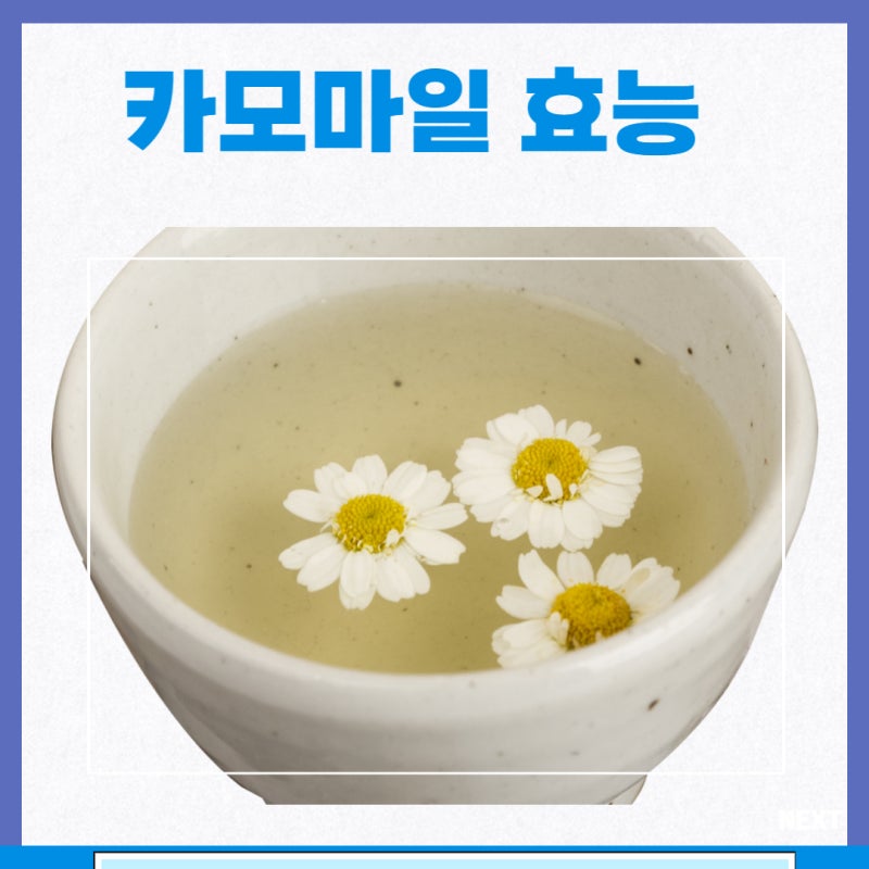 캐모마일 효능 카모마일 캐모마일차 효능 부작용 허브차 네이버 블로그